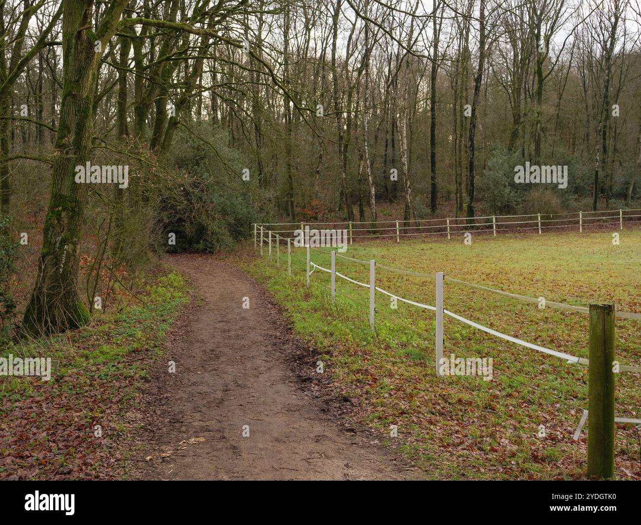 Hiking at reken in the german muensterland Stock Photo - Alamy