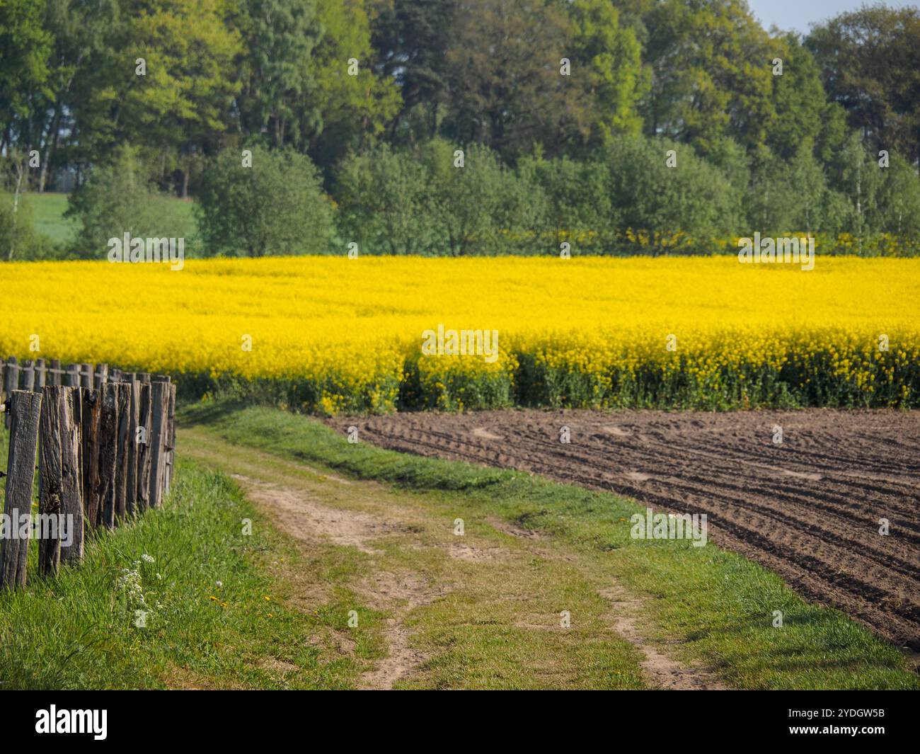Hiking at reken in the german muensterland Stock Photo - Alamy