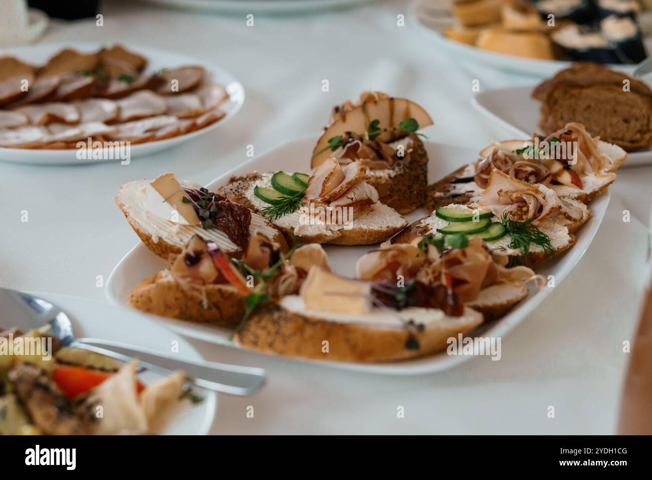 Gourmet Appetizer Platter Featuring Assorted Canapes and Deli Meats ...