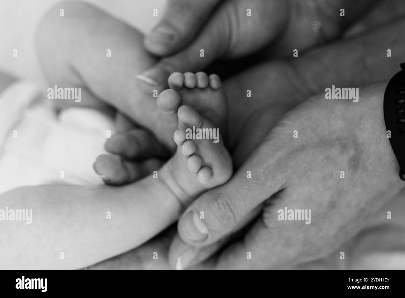 Cradled Black and White Stock Photos & Images - Alamy