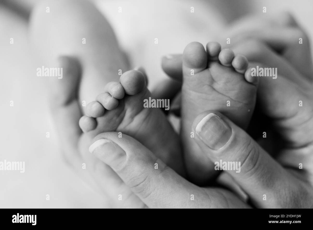 Cradled Black and White Stock Photos & Images - Alamy