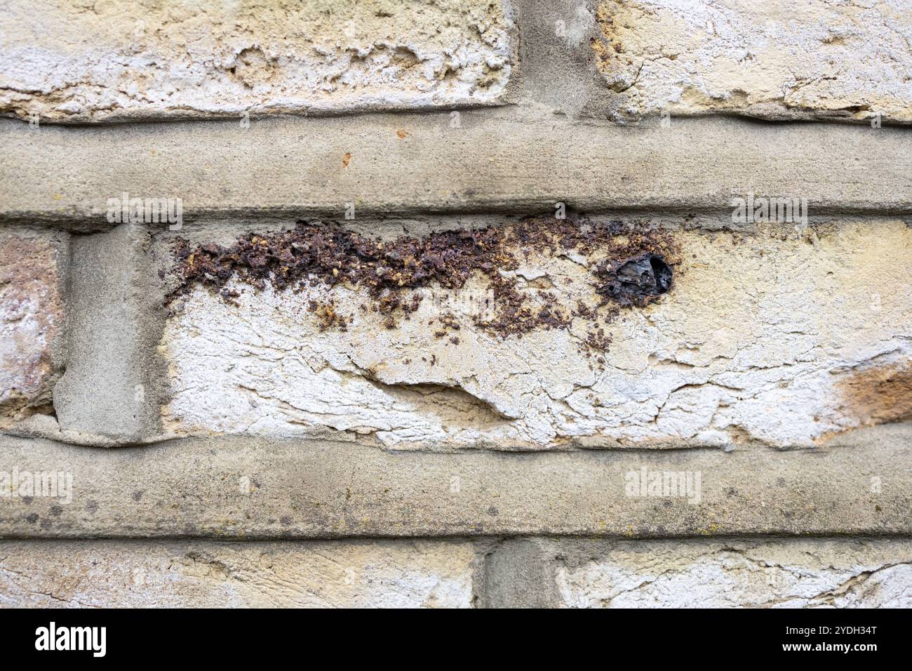 Rust Detail on a Brick Wall Stock Photo - Alamy