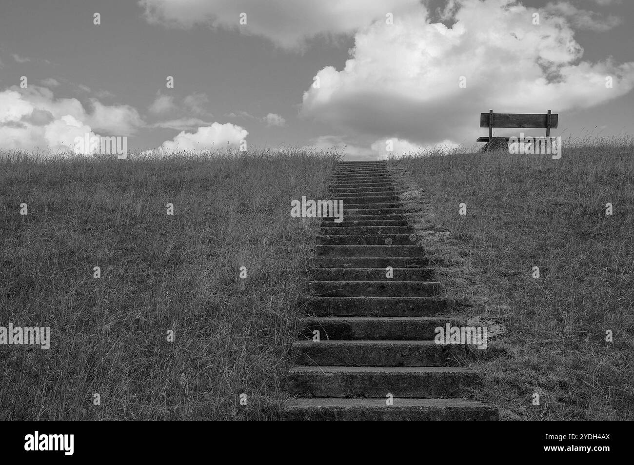 at the ems river near weener in germany Stock Photo - Alamy