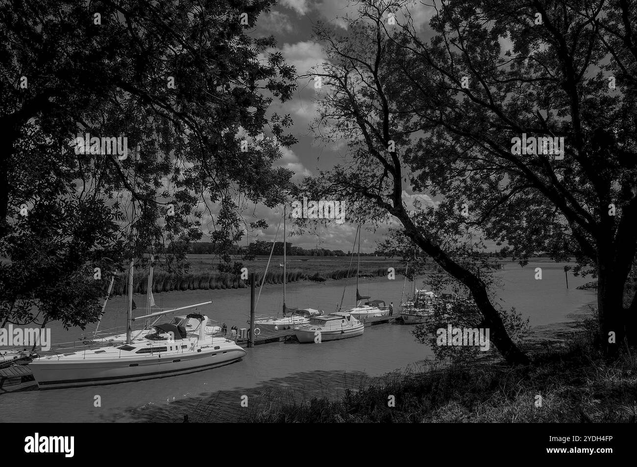 at the ems river near weener in germany Stock Photo - Alamy