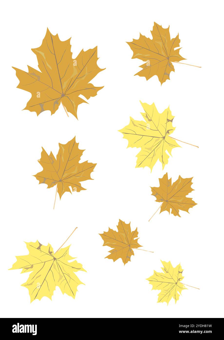 Yellow leaves fall ground autumn Cut Out Stock Images & Pictures - Alamy