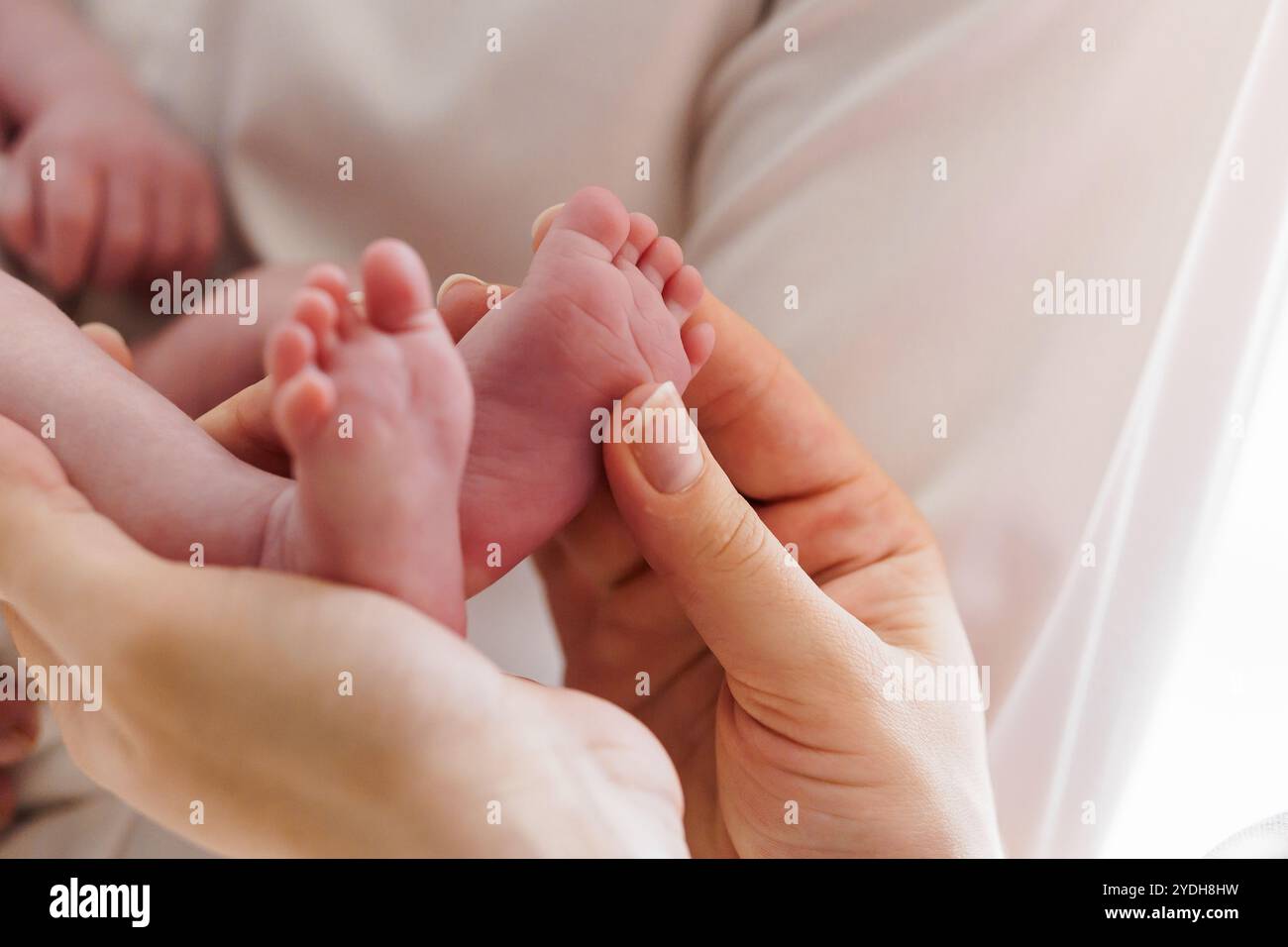Hand holding newborn baby feet softness hi-res stock photography and ...
