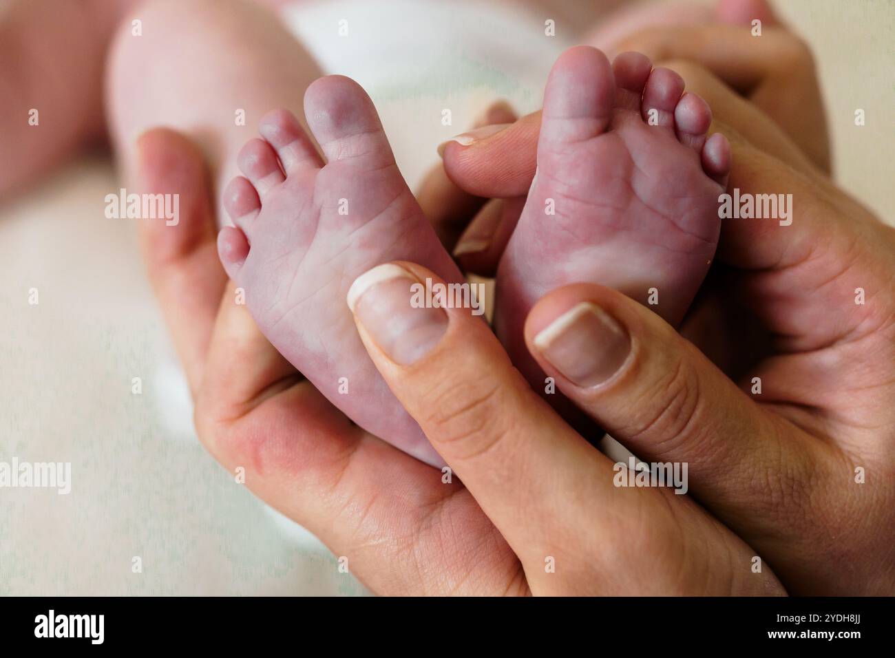 Tender Moment: A Parent Holding Their Newborn Baby's Tiny Feet Stock ...