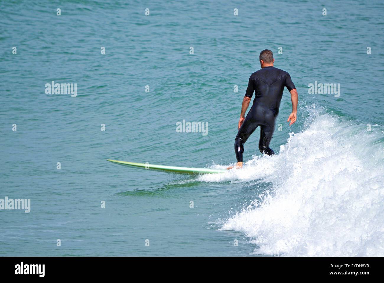 Back of the wave hi-res stock photography and images - Alamy