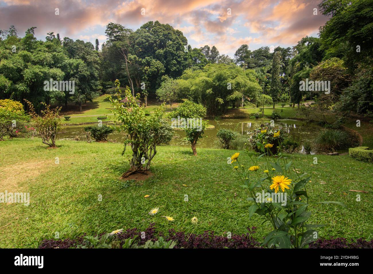 Landscape photography in the fertile highlands of the subtropical ...