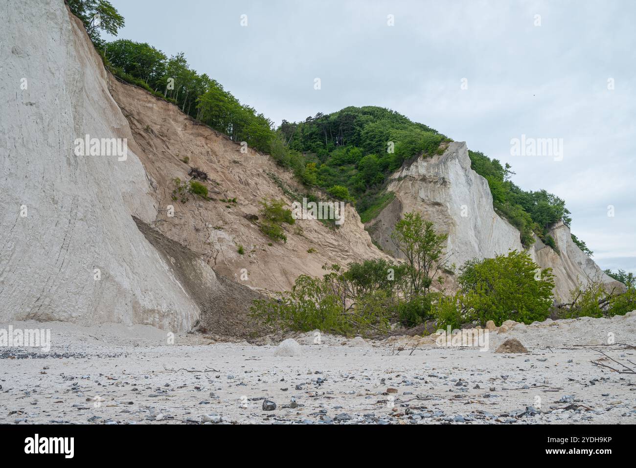 Beautiful nature of Mons Klint cliffs in Denmark Stock Photo - Alamy