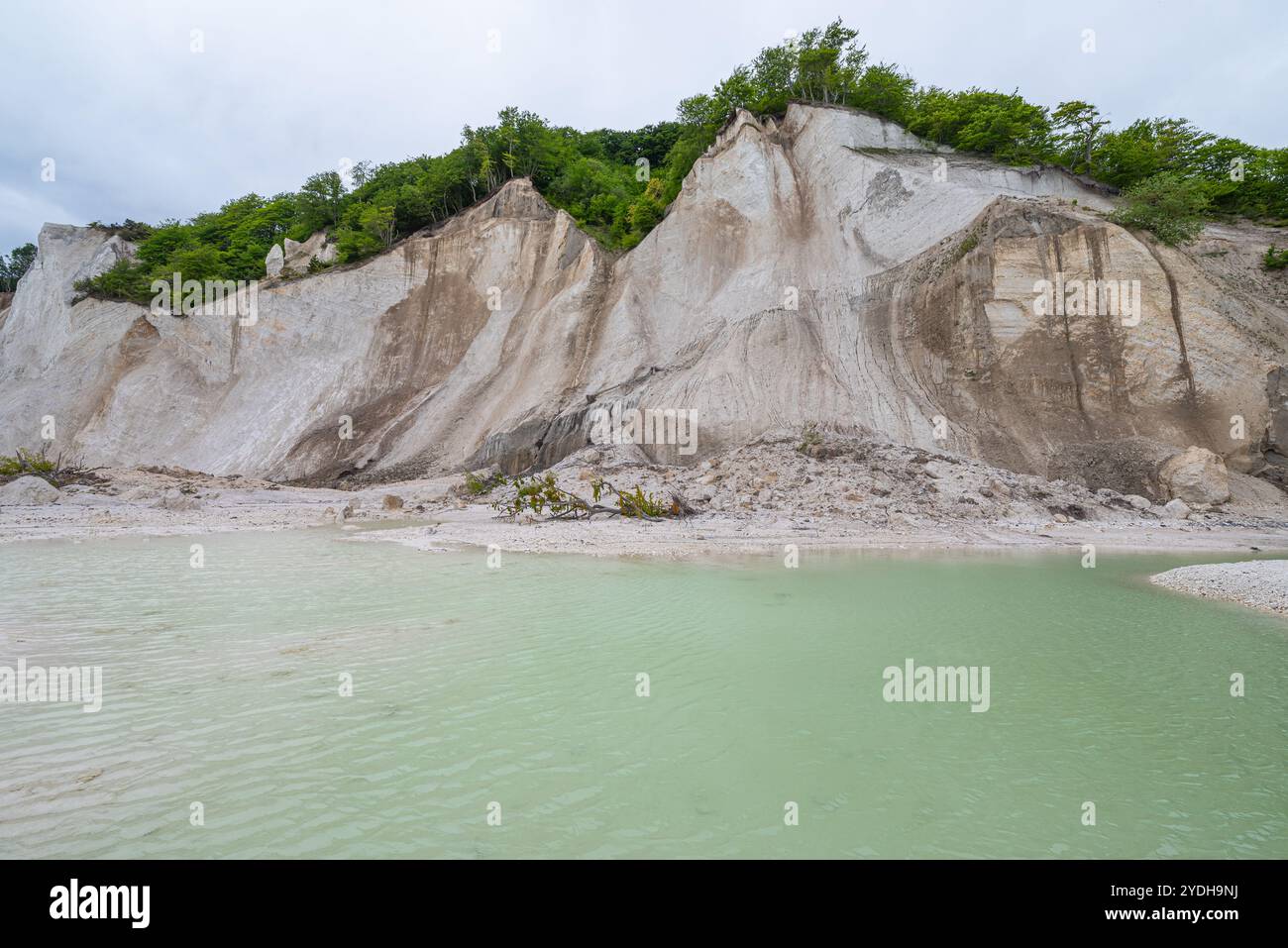 Beautiful nature of Mons Klint cliffs in Denmark Stock Photo - Alamy