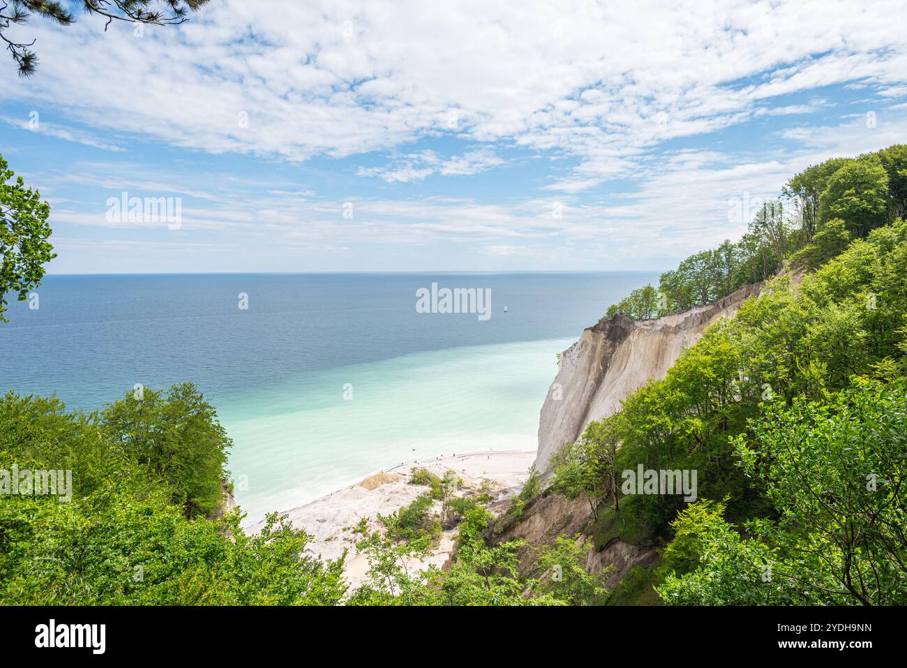 Beautiful nature of Mons Klint cliffs in Denmark Stock Photo - Alamy