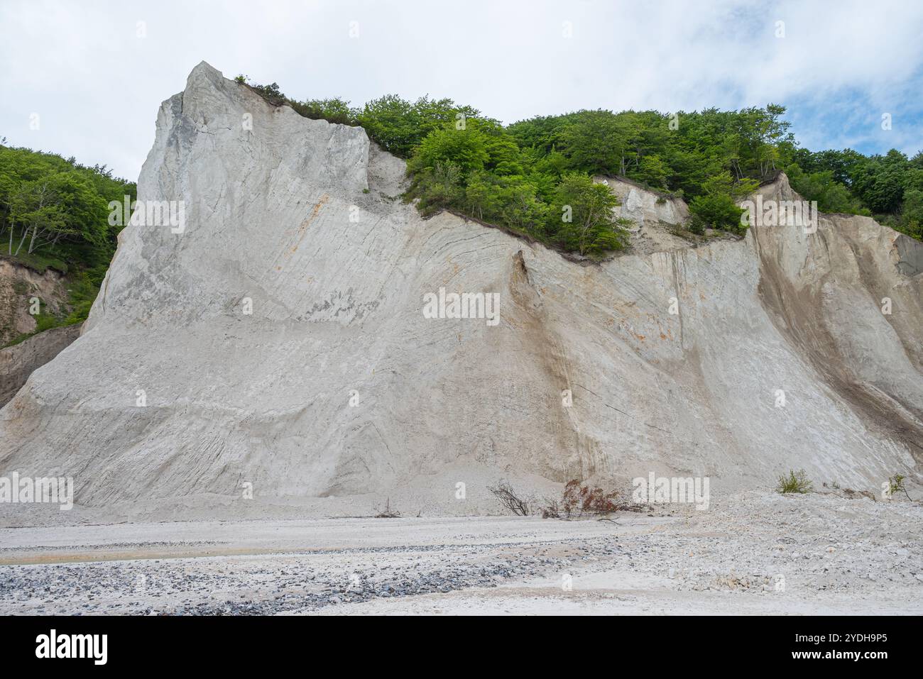 Beautiful nature of Mons Klint cliffs in Denmark Stock Photo - Alamy