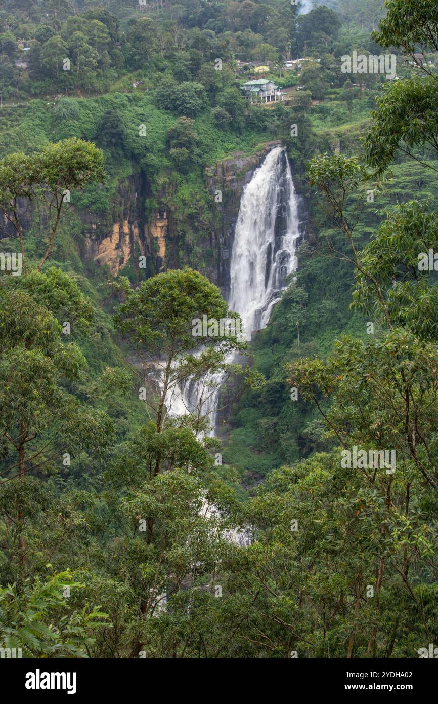Landscape photography in the fertile highlands of the subtropical ...