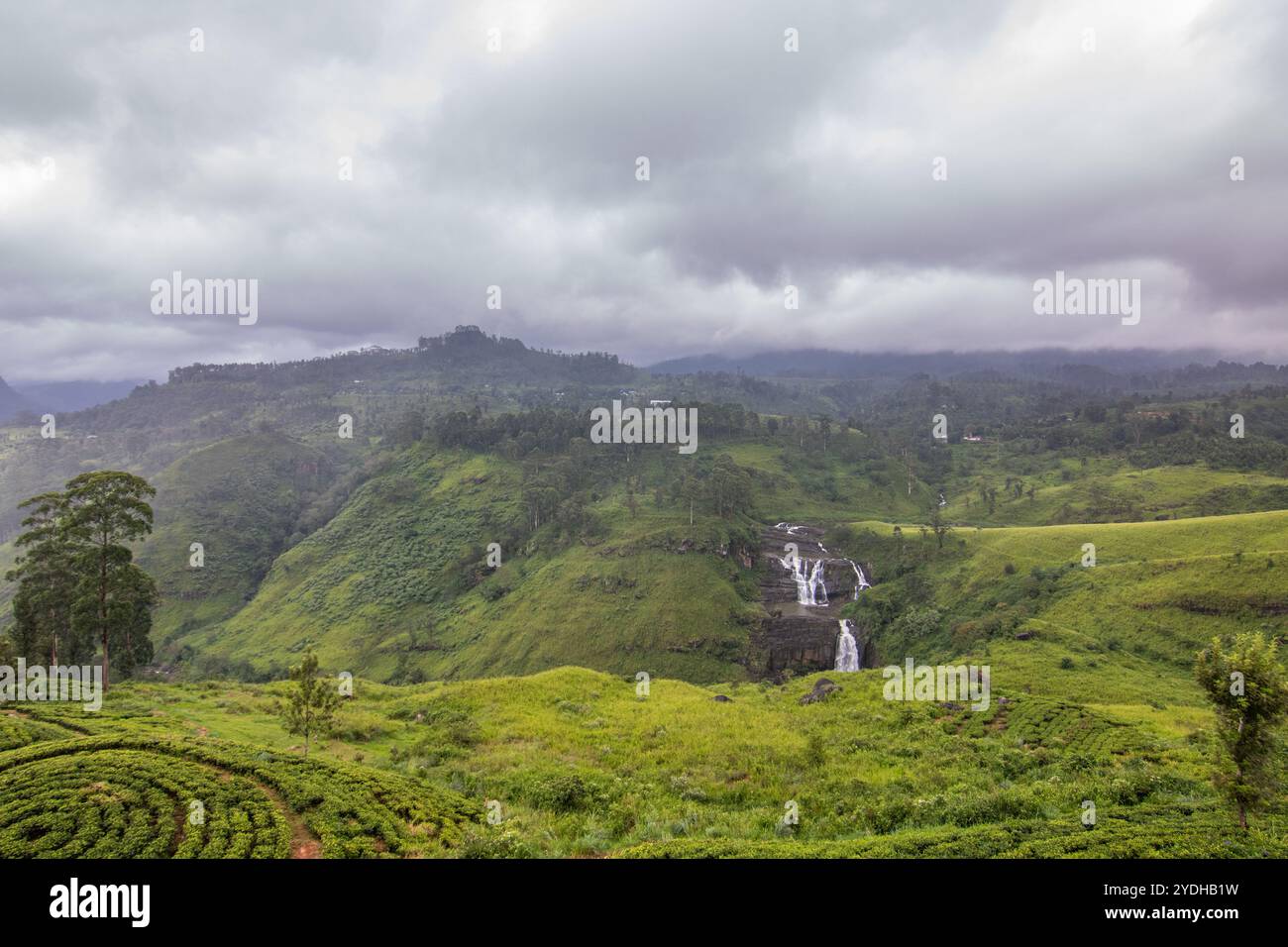 Landscape photography in the fertile highlands of the subtropical ...