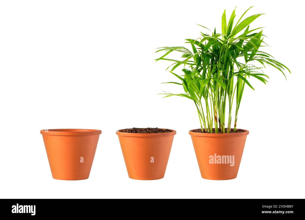 clay pot filled with organic potting soil , isolated on white Stock ...