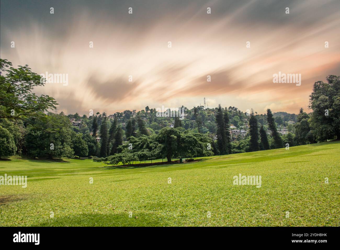 Landscape of the fertile highlands in a subtropical climate. Jungle ...