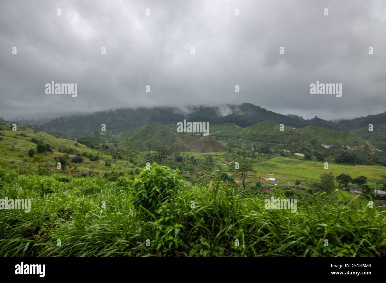 Landscape of the fertile highlands in a subtropical climate. Jungle ...