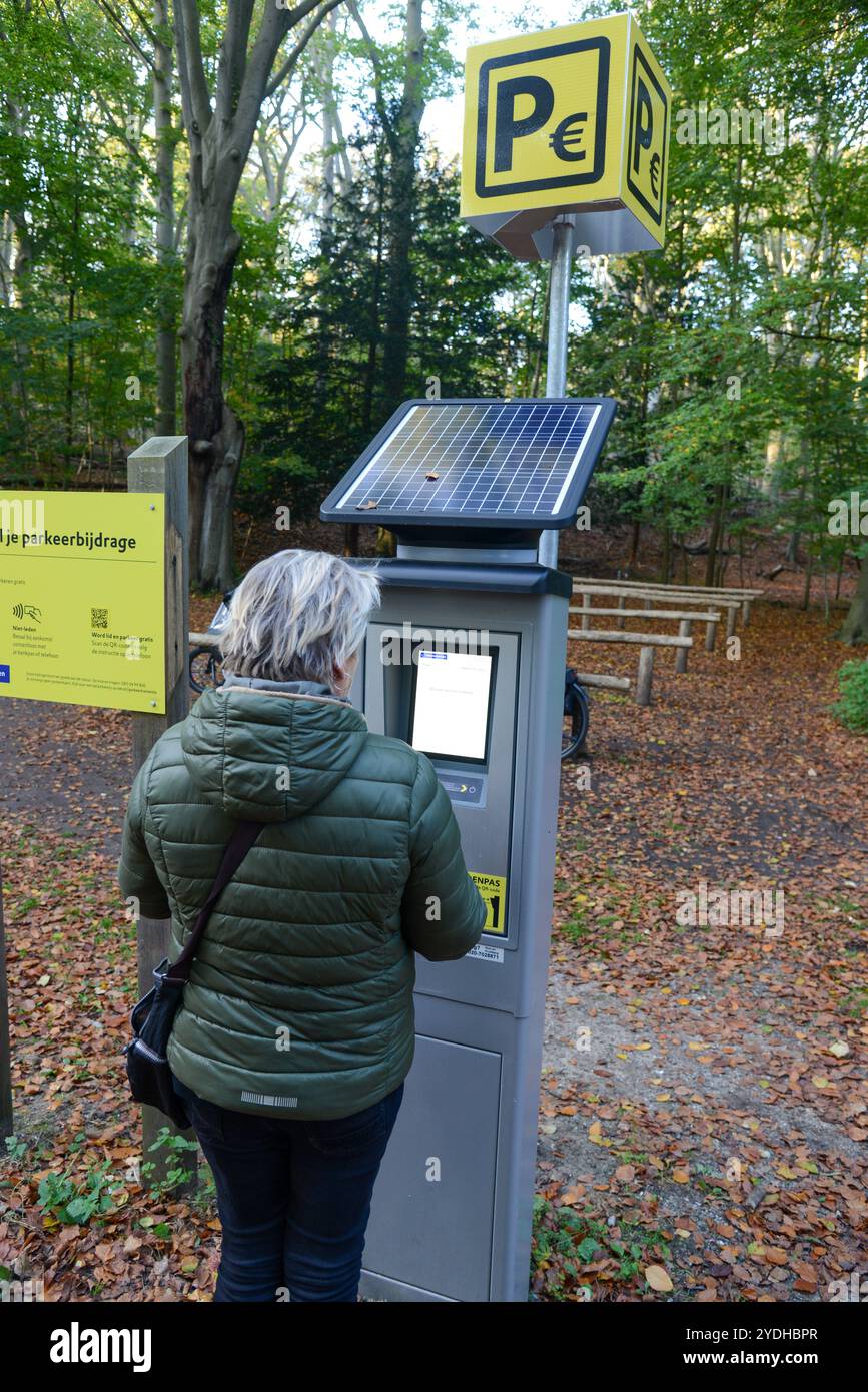 woman at paying machine at parking lot in forest, Holland Stock Photo ...