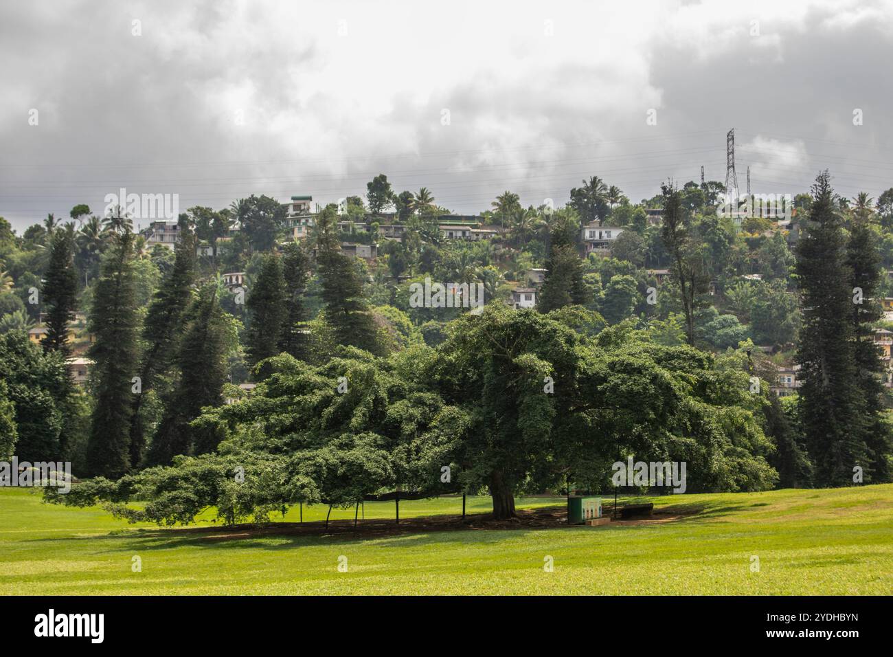 Landscape of the fertile highlands in a subtropical climate. Jungle ...