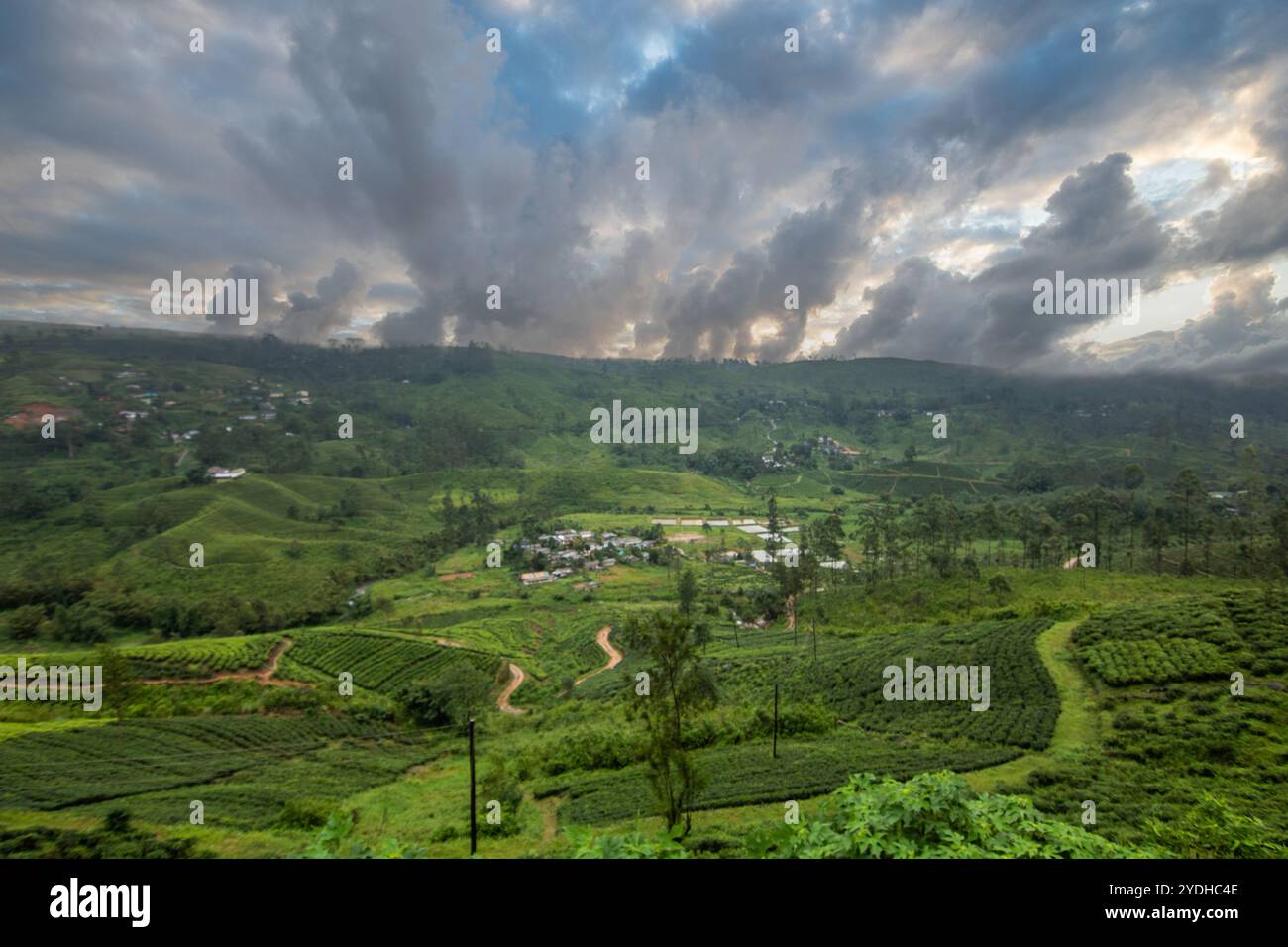 Landscape of the fertile highlands in a subtropical climate. Jungle ...