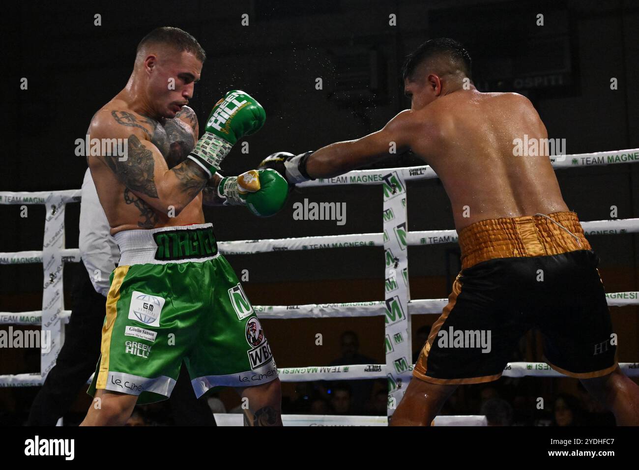 Michael Magnesi (ITA) vs Kevin Trana (NIC) during the WBC international ...