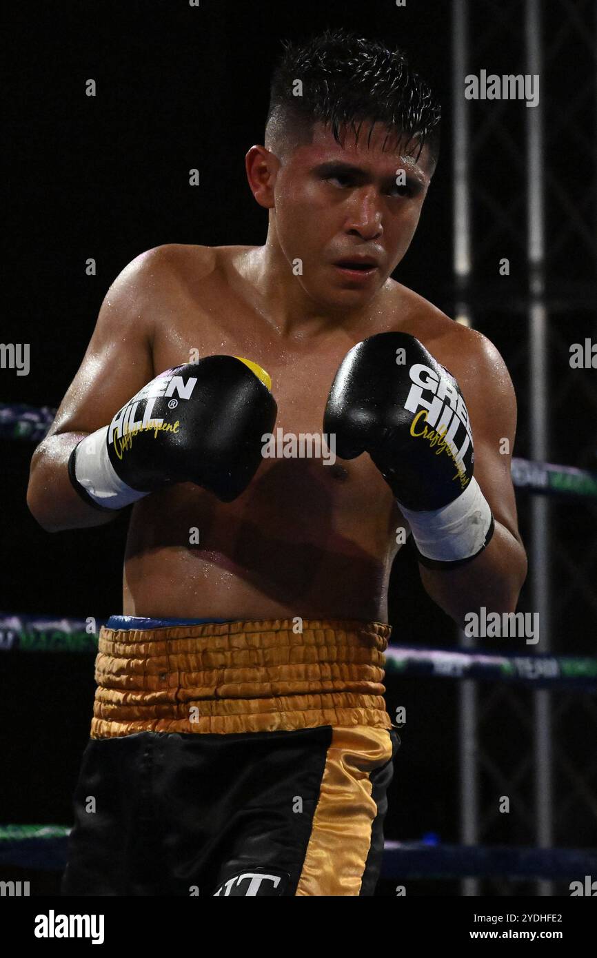 Michael Magnesi (ITA) vs Kevin Trana (NIC) during the WBC international ...