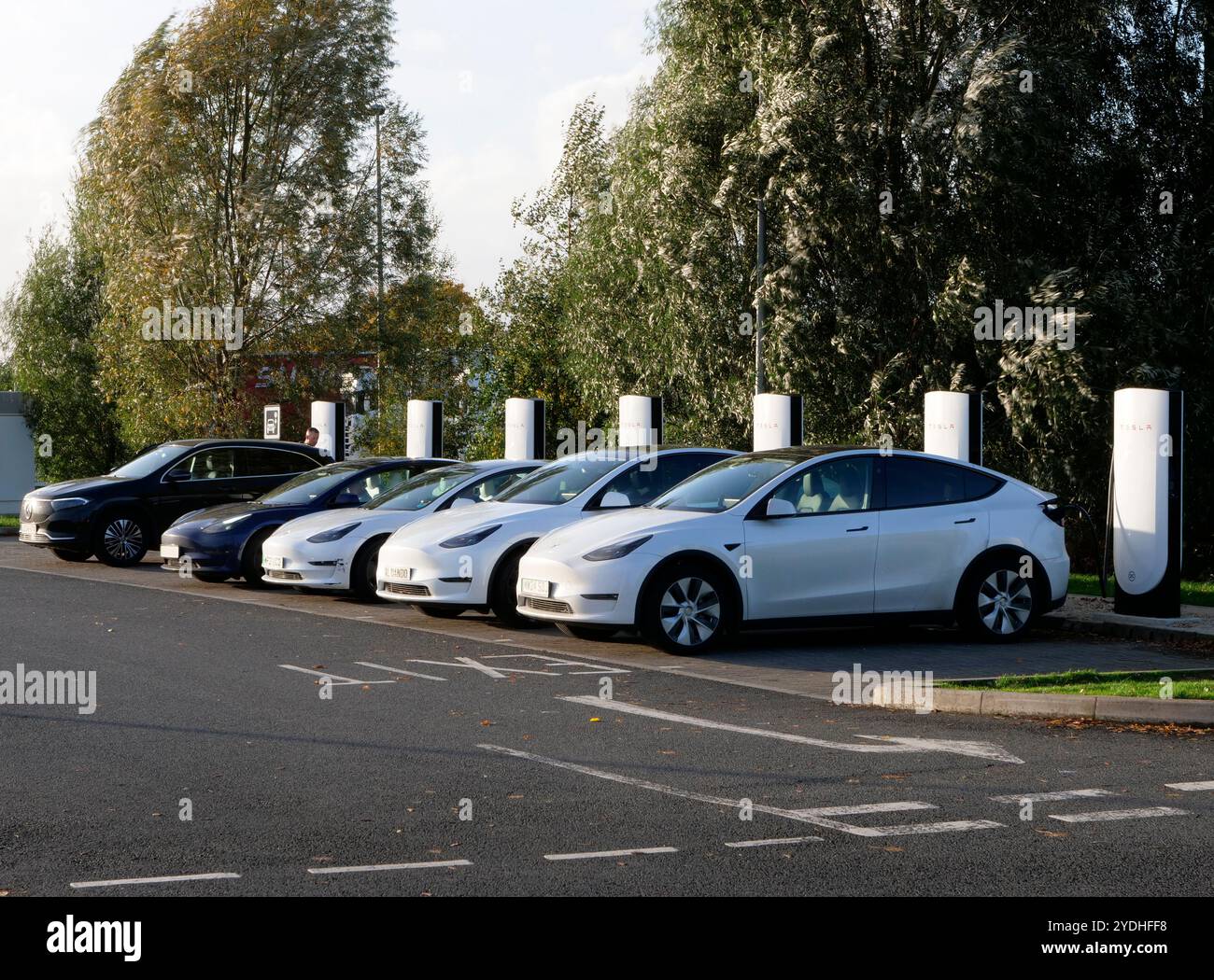 A line of Tesla cars charging at Tesla charging stations Stock Photo ...