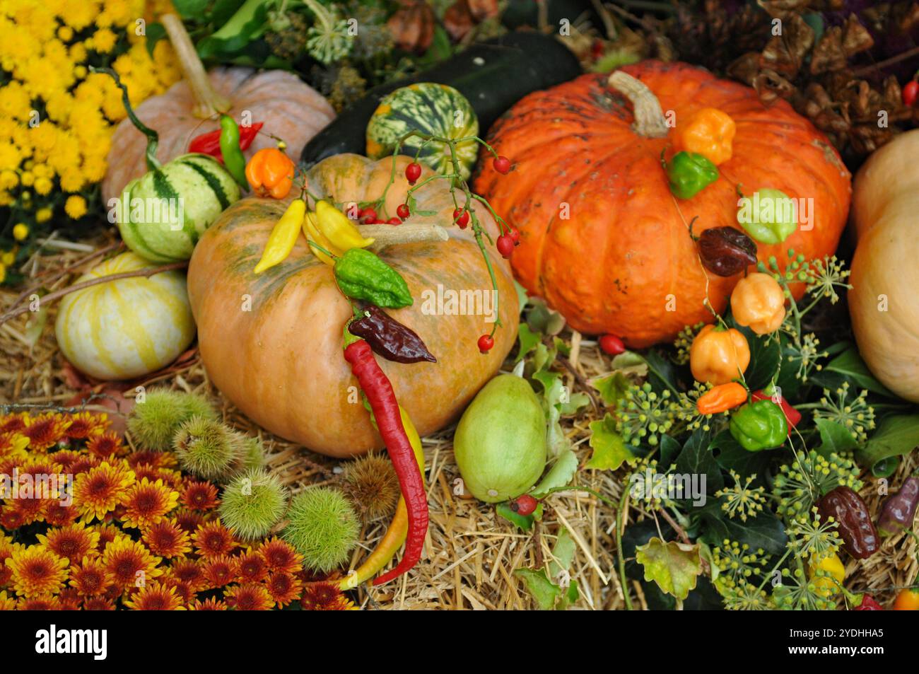 Decoration of vegetables and fruits hi-res stock photography and images ...