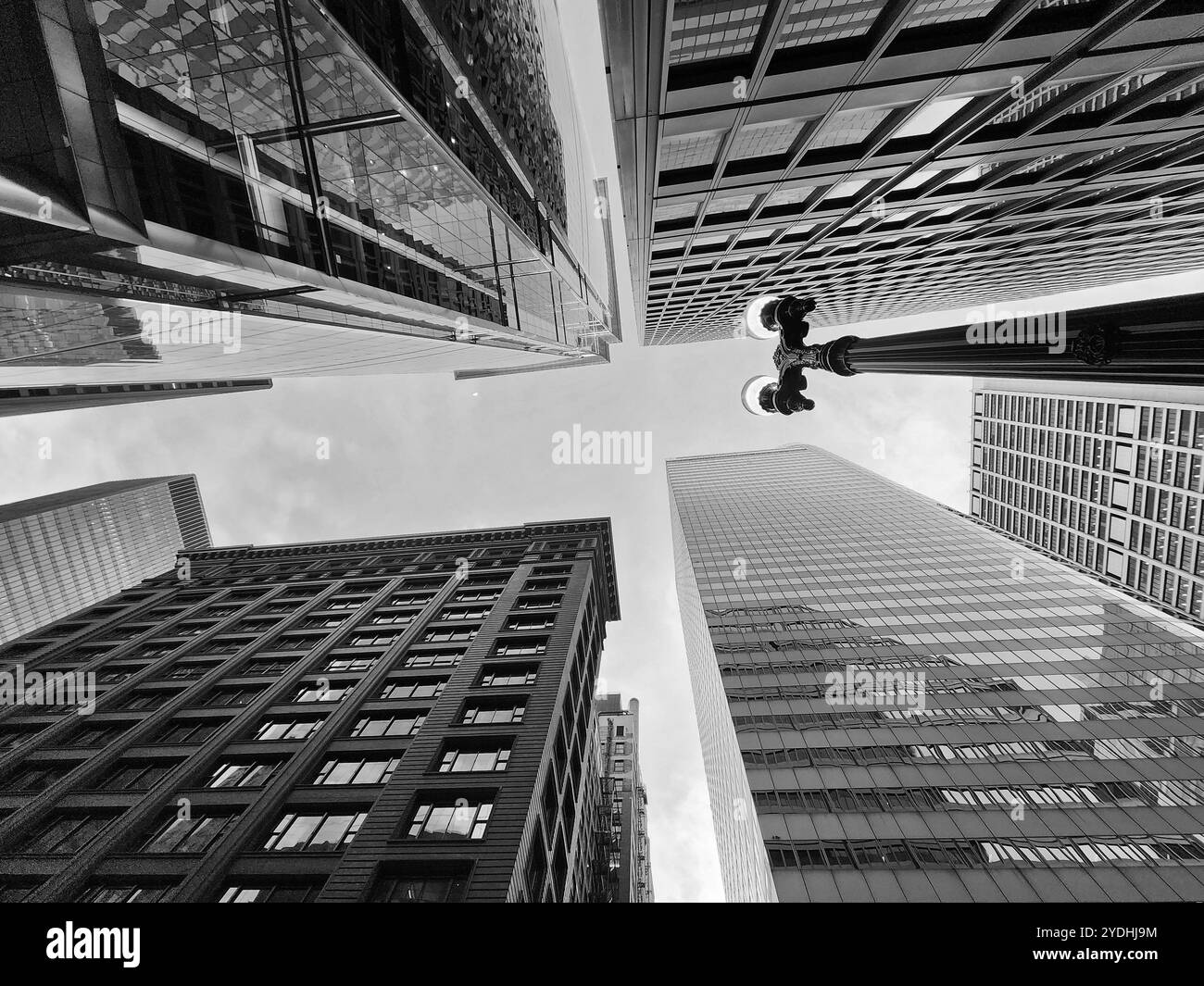 skyscraper building architecture. skyscraper with glassy facade. modern ...