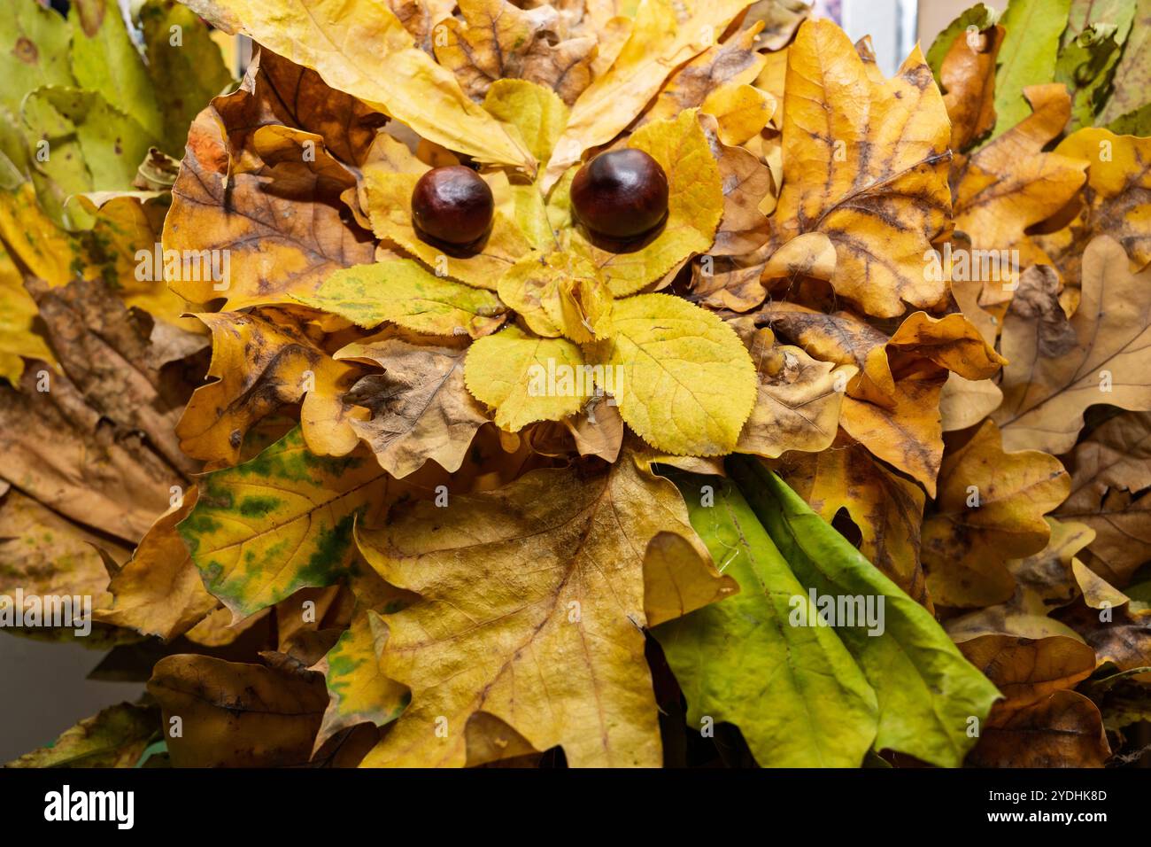 Autumn portrait of a forest spirit with brown eyes. A fabulous creature ...