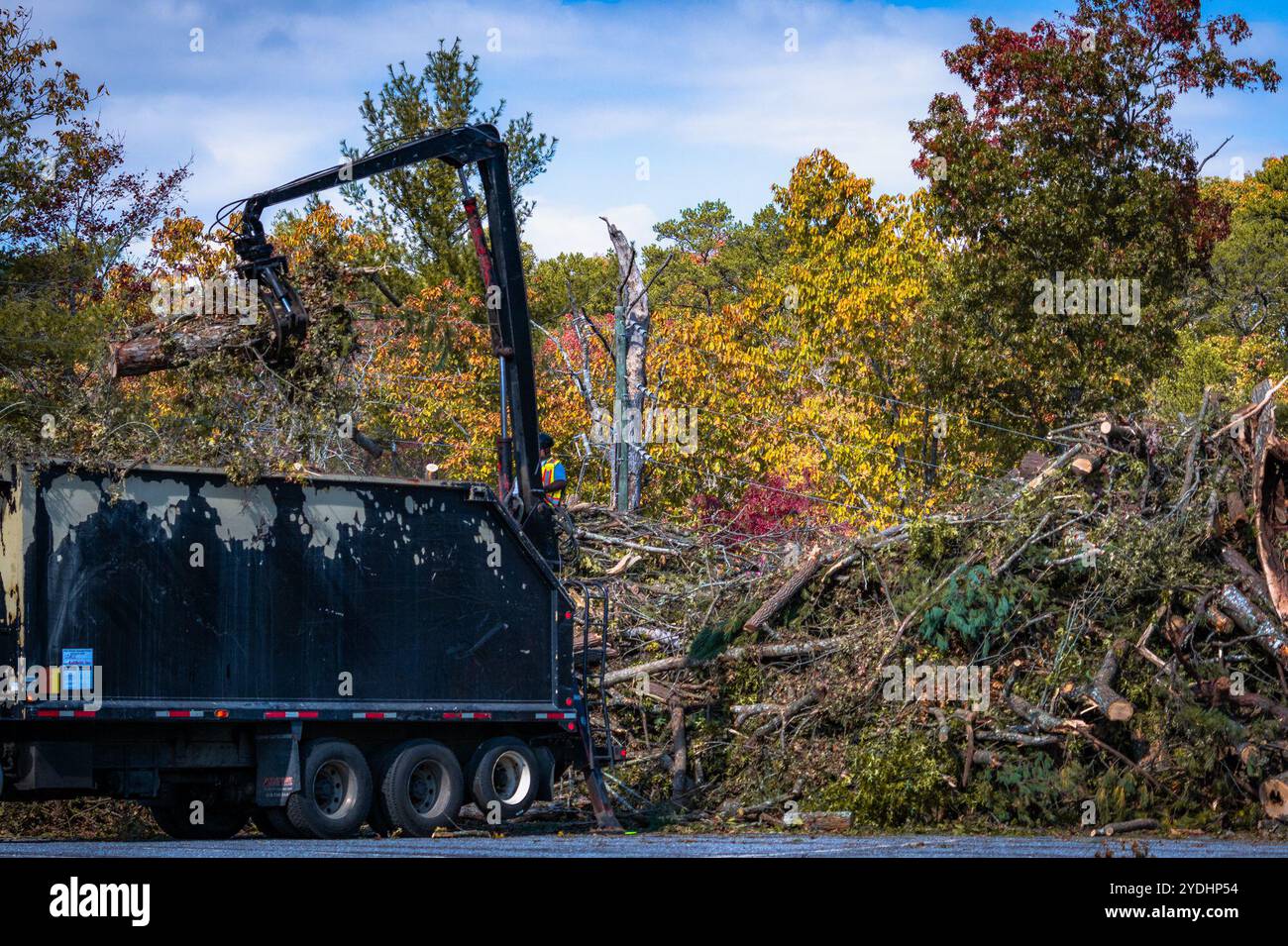 Trees and vegetative debris are removed from roadways and service roads ...
