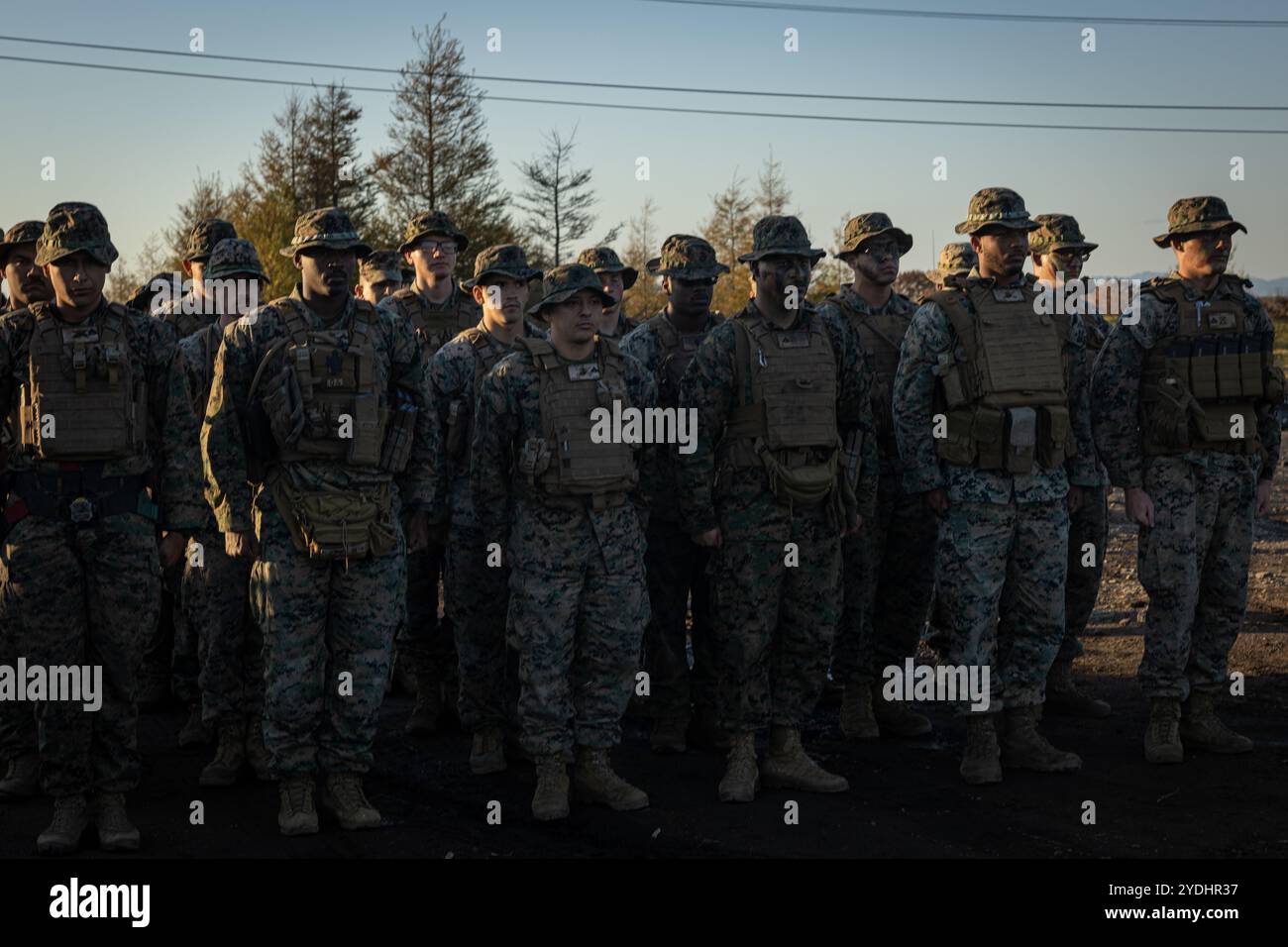 Readytofightnow hi-res stock photography and images - Alamy