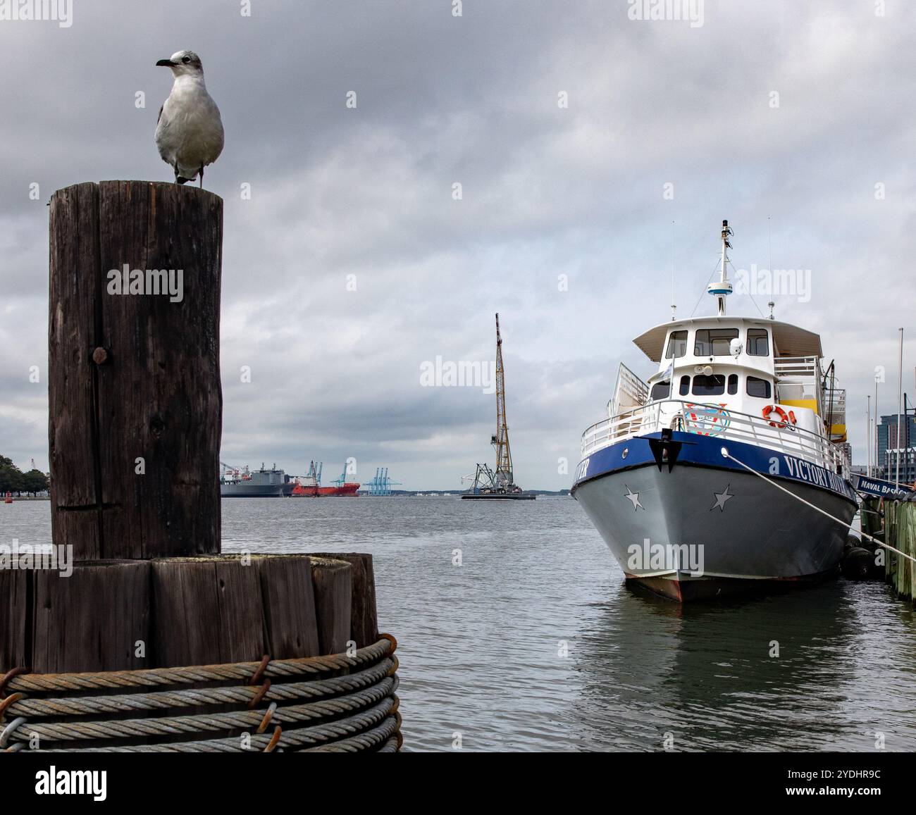 240925-N-OL632 -1016 ELIZABETH RIVER, VA. (Sept. 25, 2024) The Nimitz ...