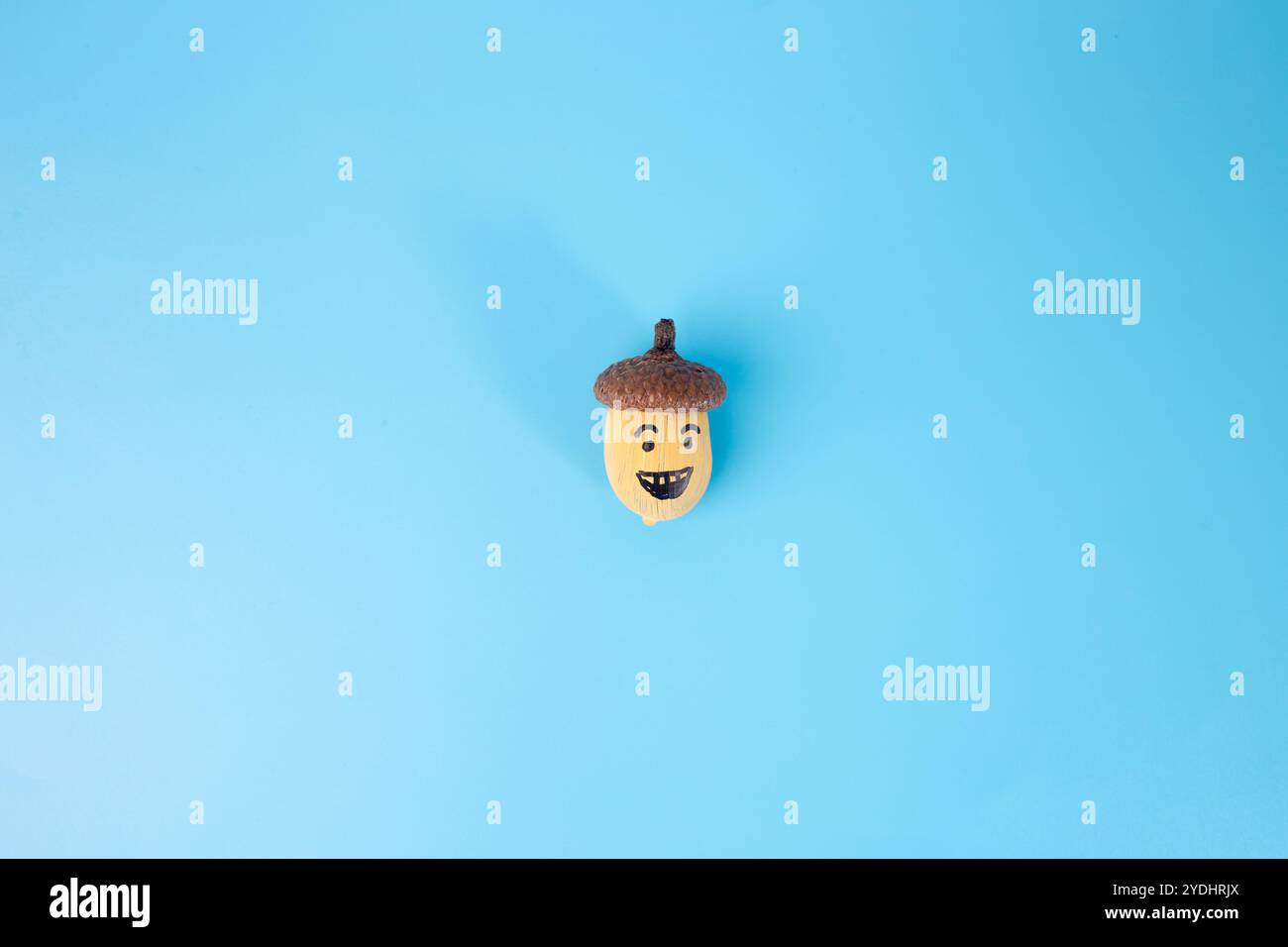 an acorn with a face drawn on it, placed against a light blue ...