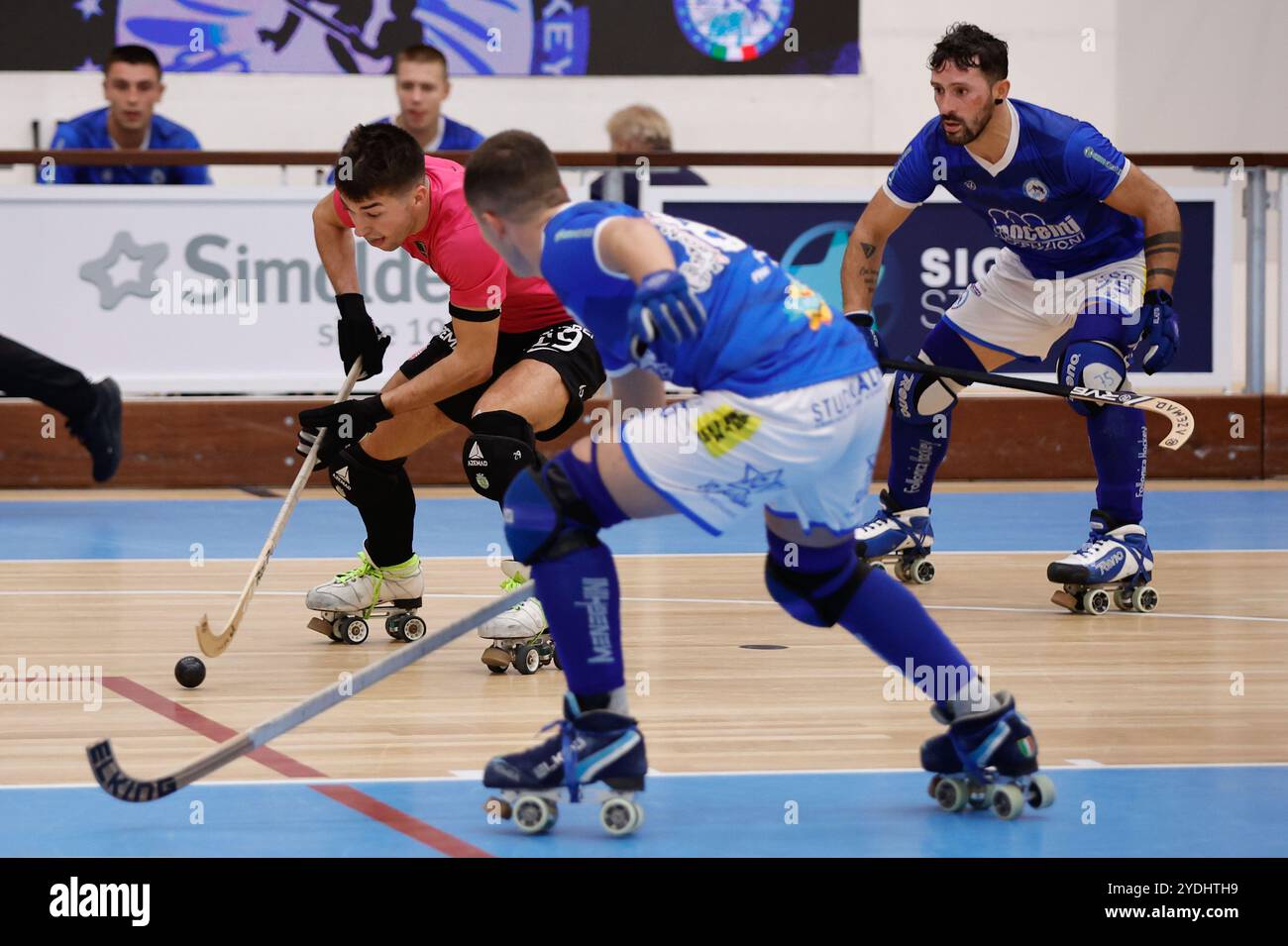 Oliveira de Azeméis, 26/10/2024 - Sporting Clube de Portugal faced ...