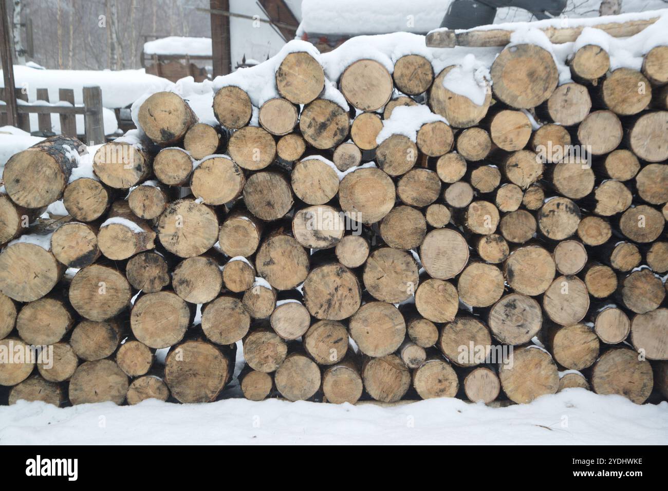 Texture and background of the firewood is neatly stacked. Firewood made ...