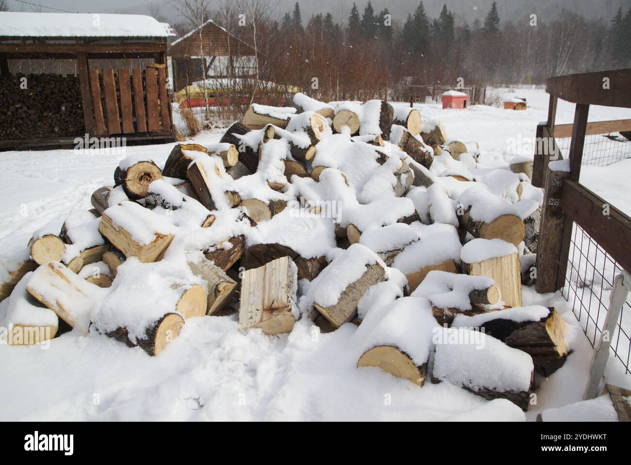 The firewood is neatly stacked. Firewood made of natural wood is laid ...