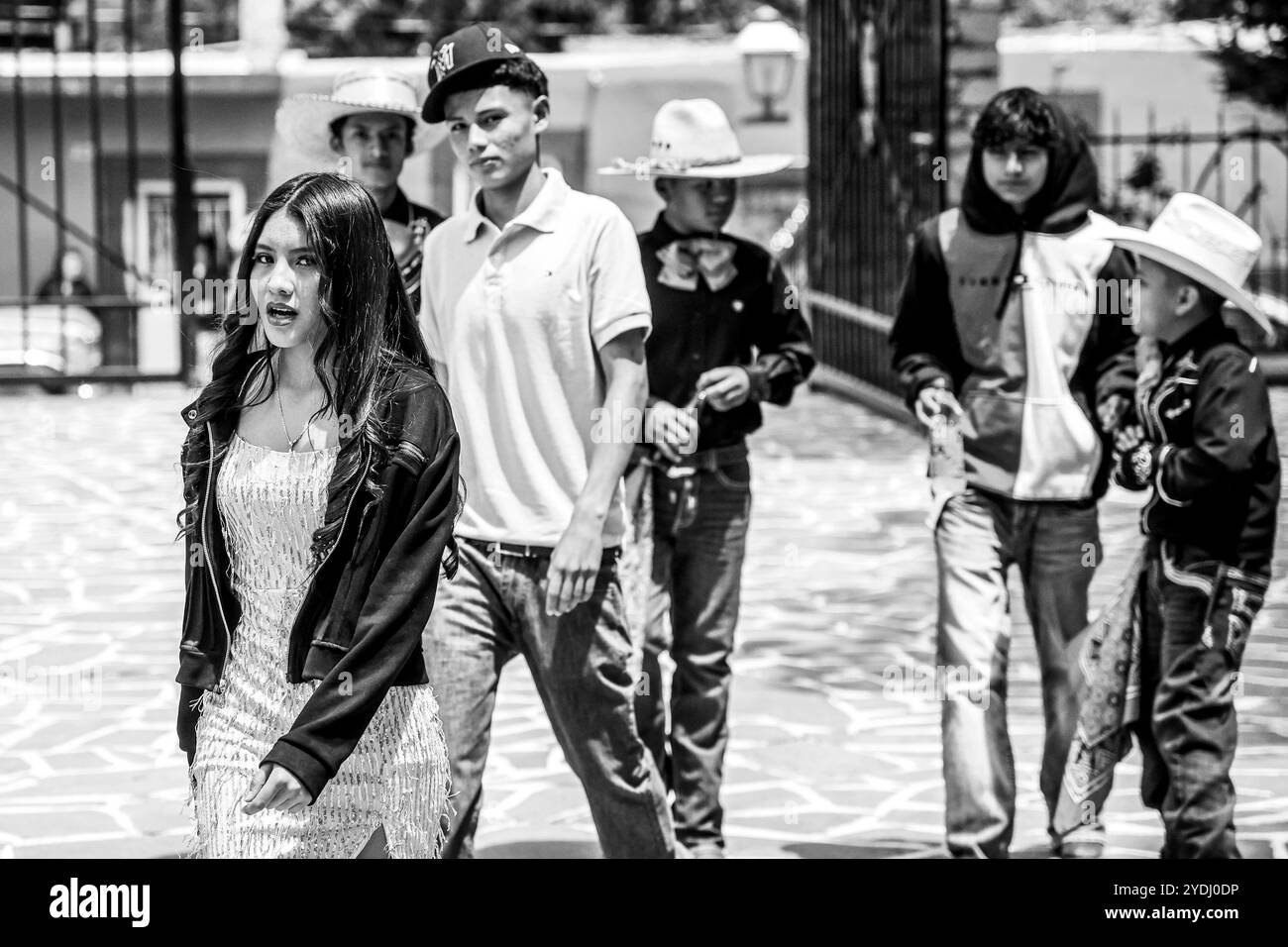 Venado, San Luis Potosí, Mexico. Entrance facade to the municipality or ...