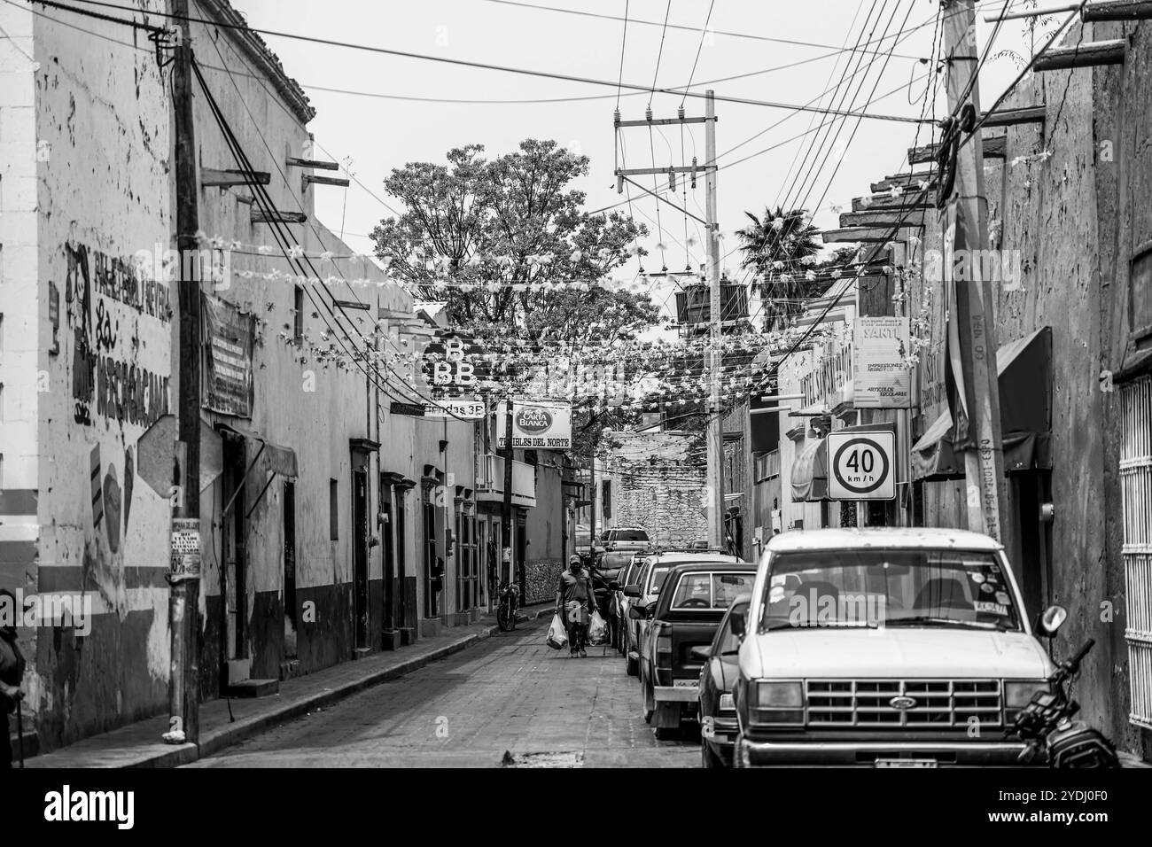 Venado, San Luis Potosí, Mexico. Entrance facade to the municipality or ...