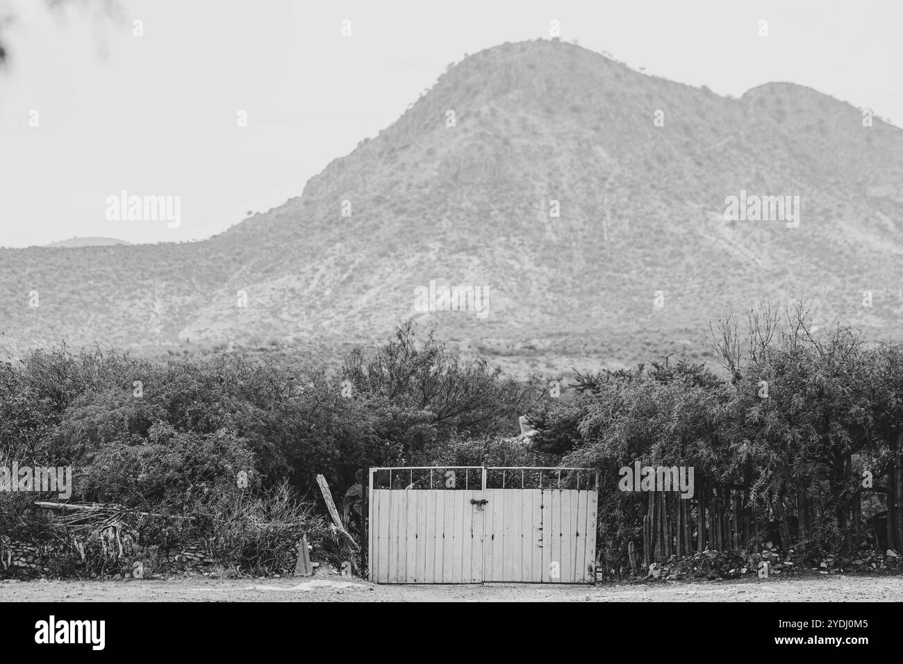 Turquoise colored Black and White Stock Photos & Images - Alamy