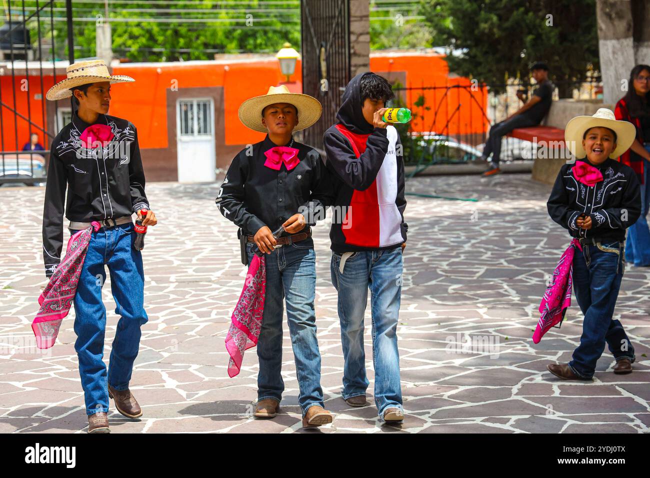 Venado, San Luis Potosí, Mexico. Entrance facade to the municipality or ...