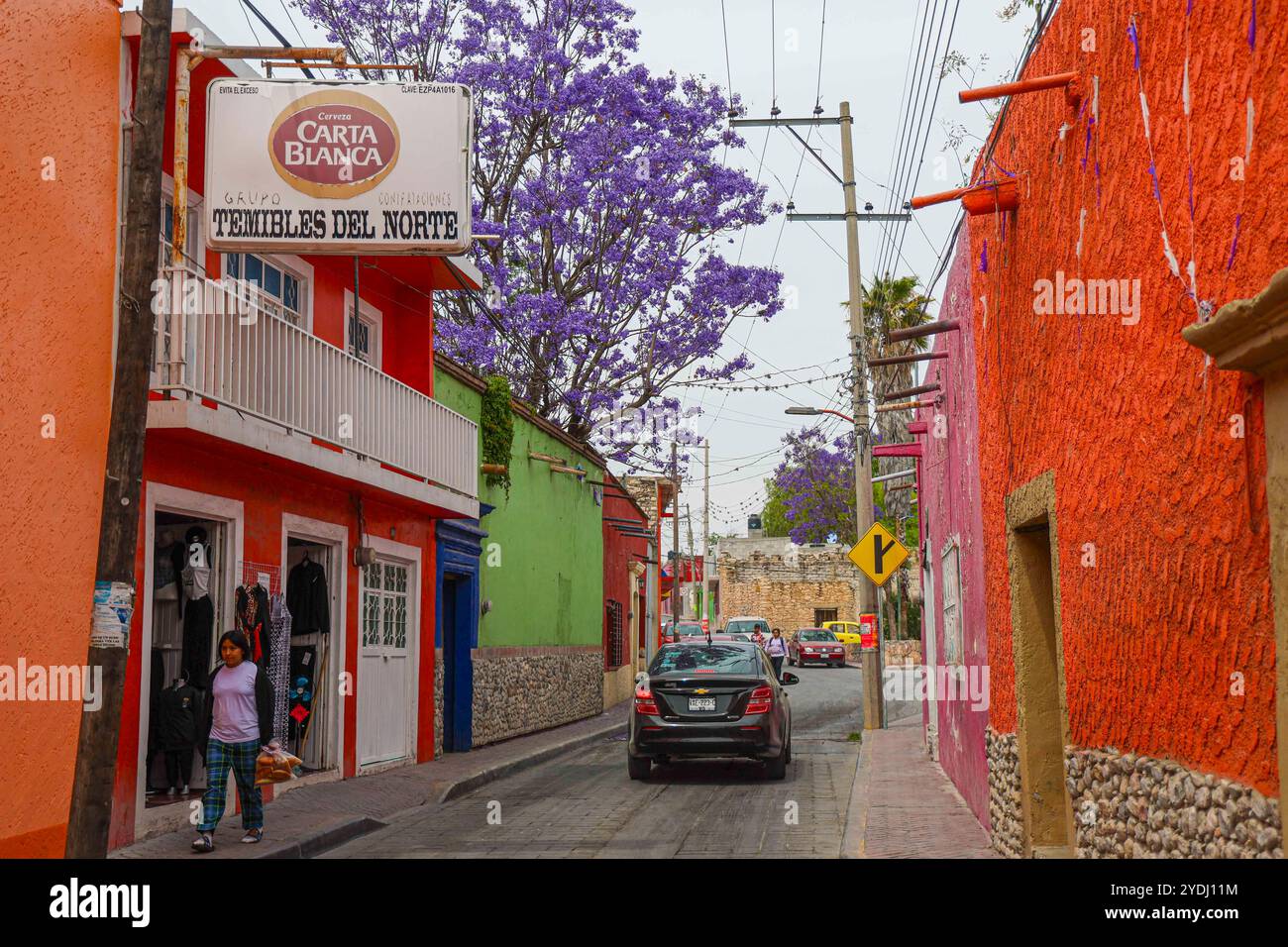 Venado, San Luis Potosí, Mexico. Entrance facade to the municipality or ...
