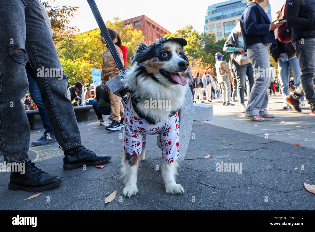 Amanda from east harlem holds don julio hi-res stock photography and ...