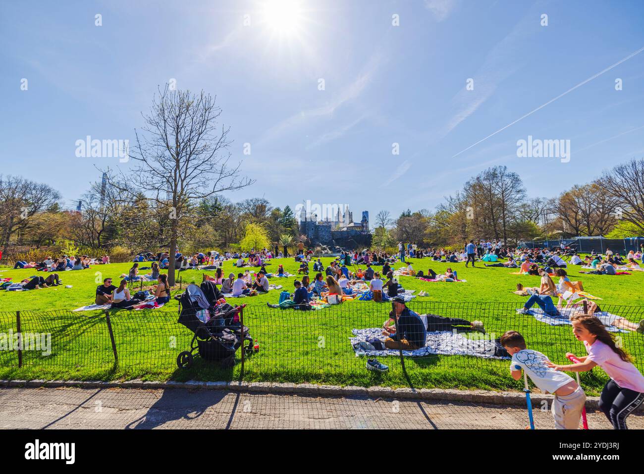 Sunny day gathering in green park with families, friends, and children ...