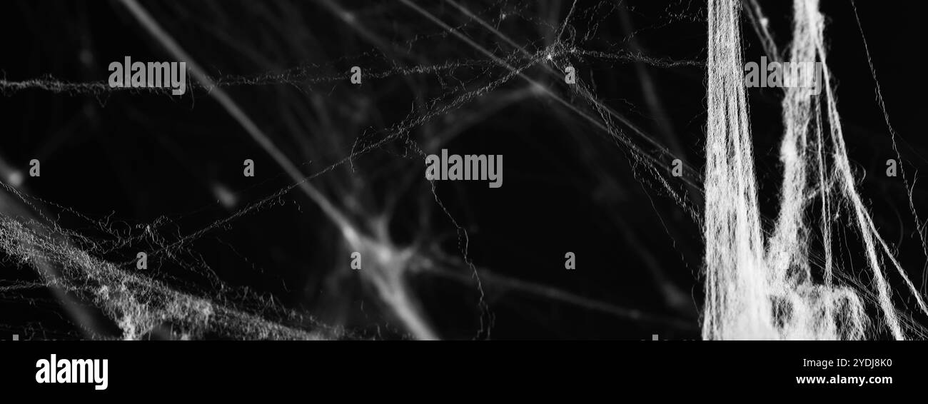 White cobweb on black background, banner design Stock Photo - Alamy