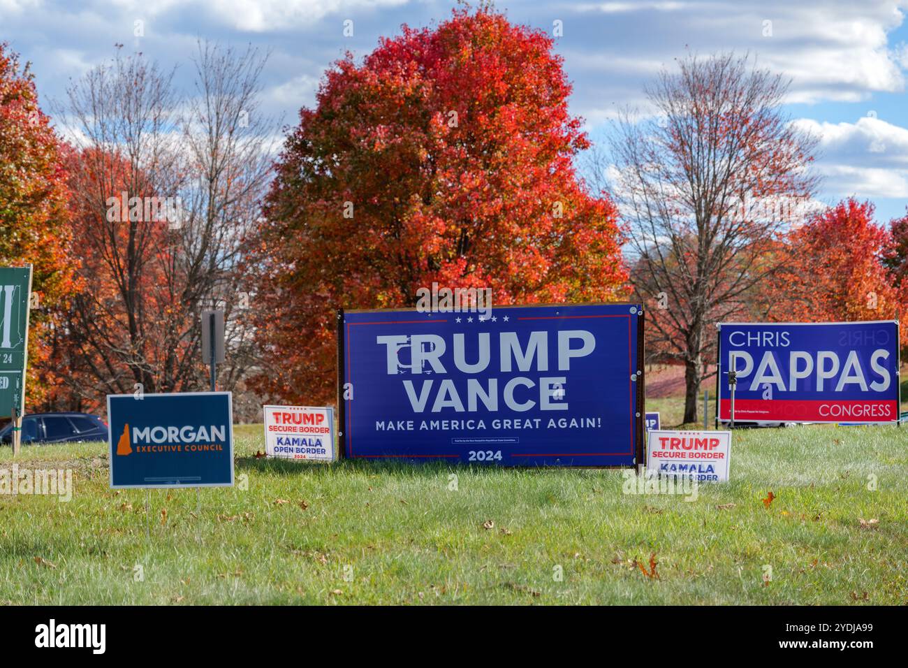 Political signs for the 2024 Presidential election on a sunny fall day ...