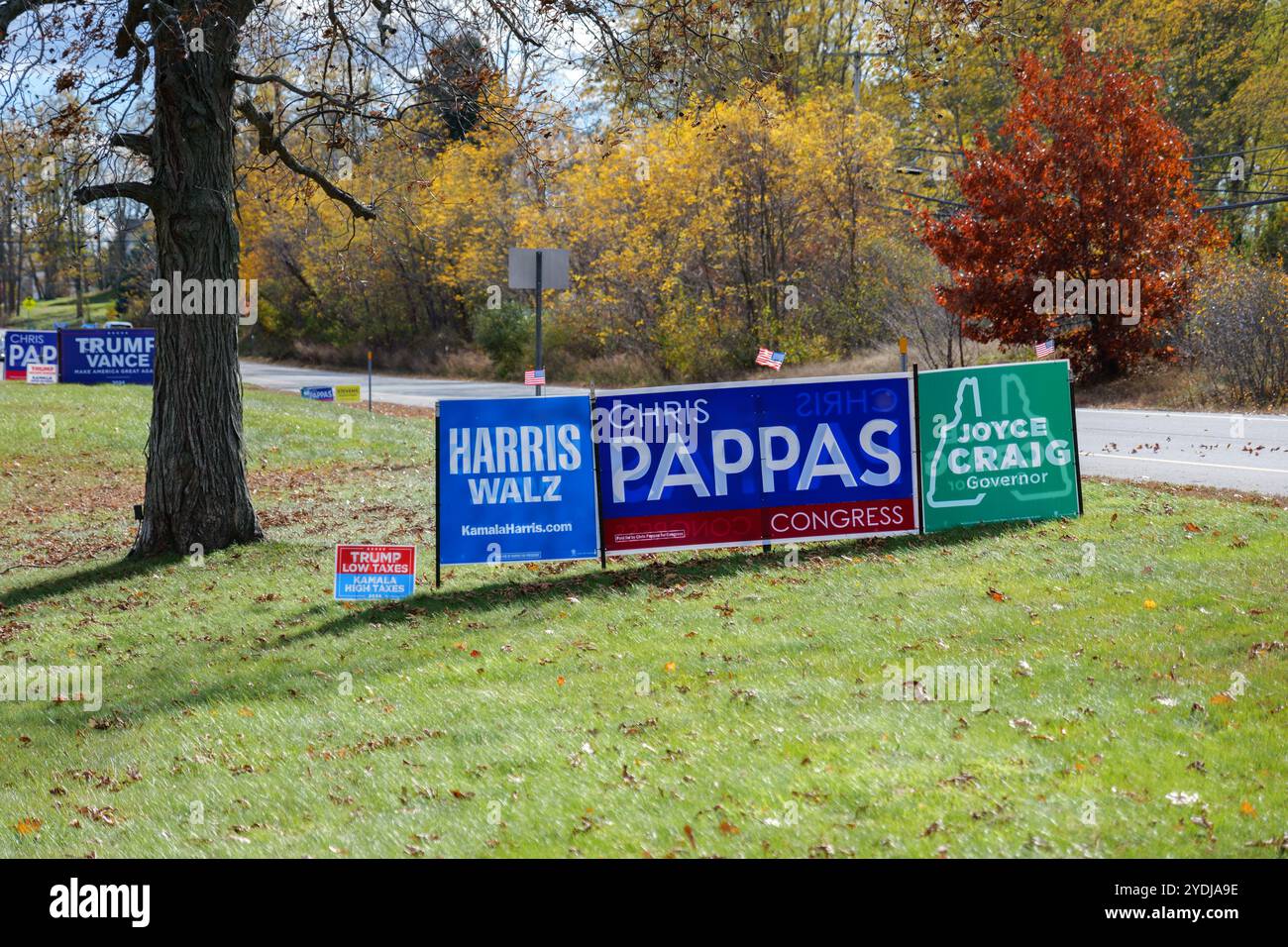 Political signs for the 2024 Presidential election on a sunny fall day ...