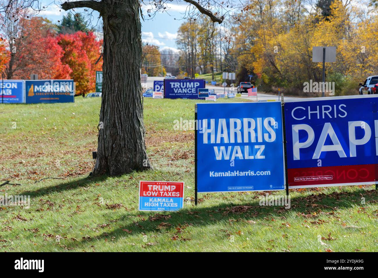 Political signs for the 2024 Presidential election on a sunny fall day ...