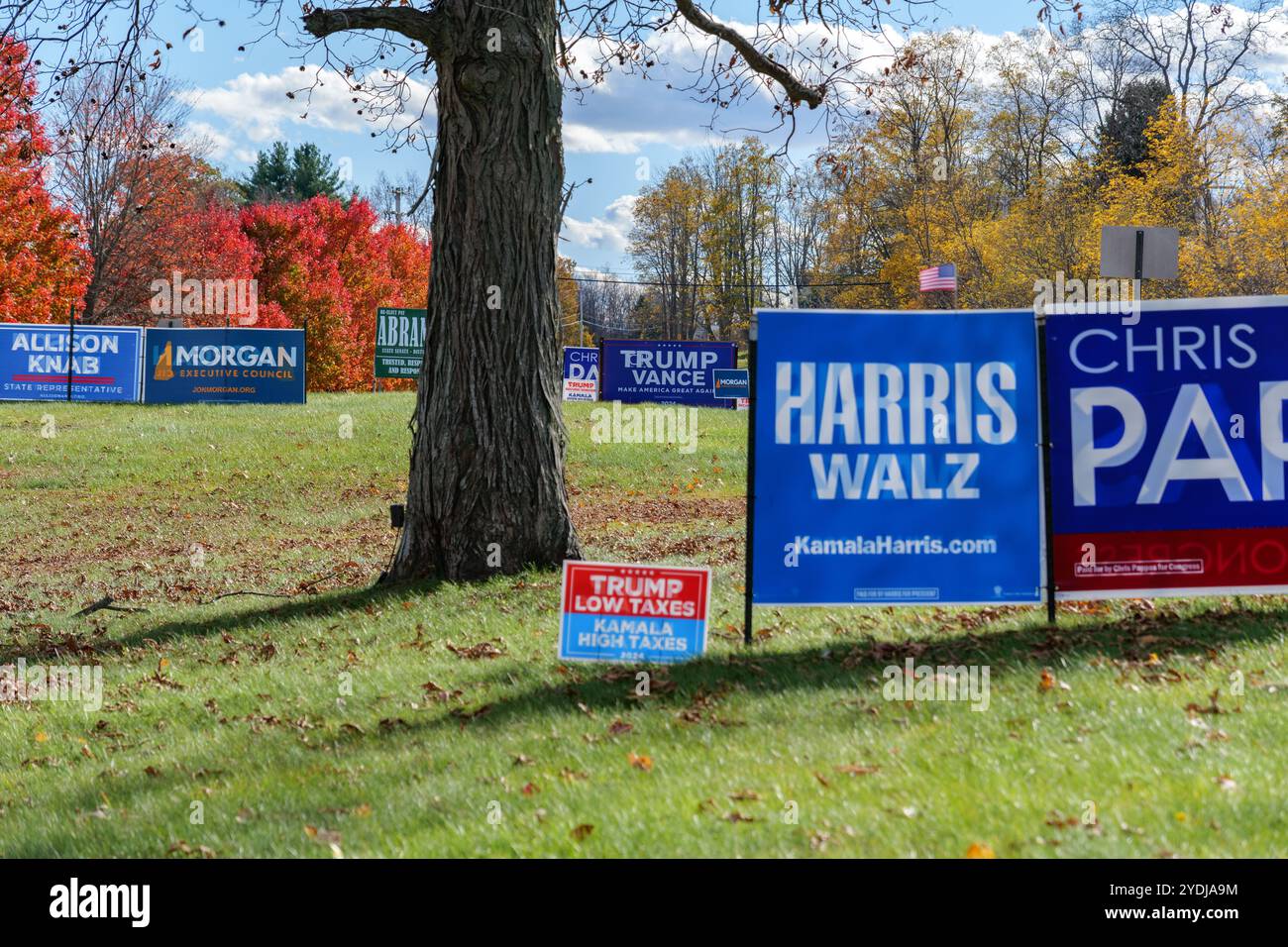 Political signs for the 2024 Presidential election on a sunny fall day ...
